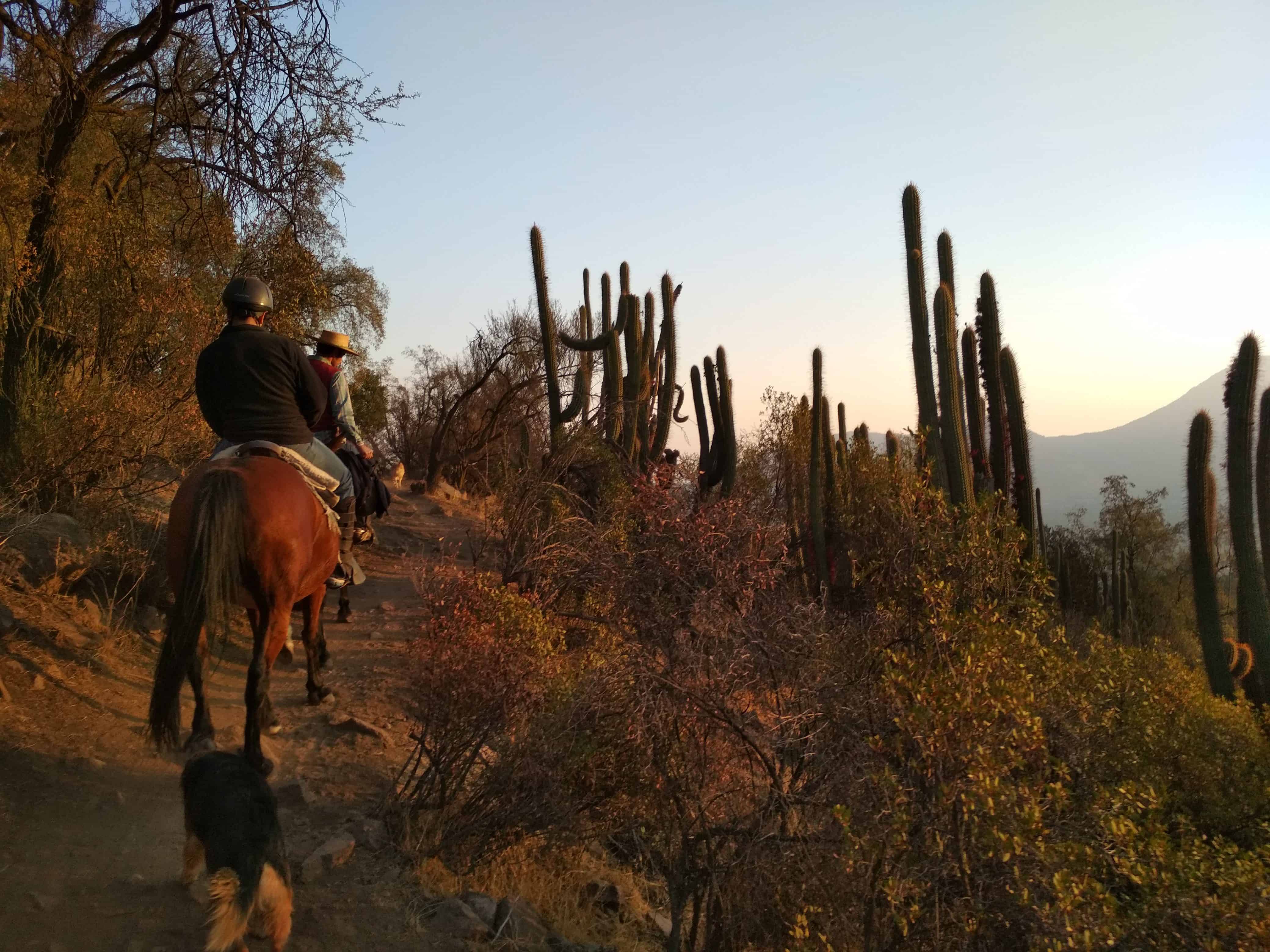 Sunset Horseback Ride from Santiago - Chile Off Track