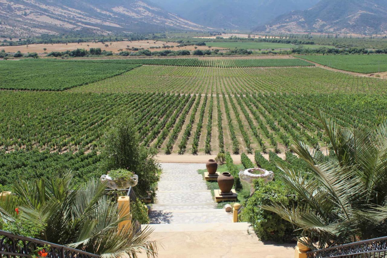 5 special Wineries to visit around Santiago - Chile Off Track