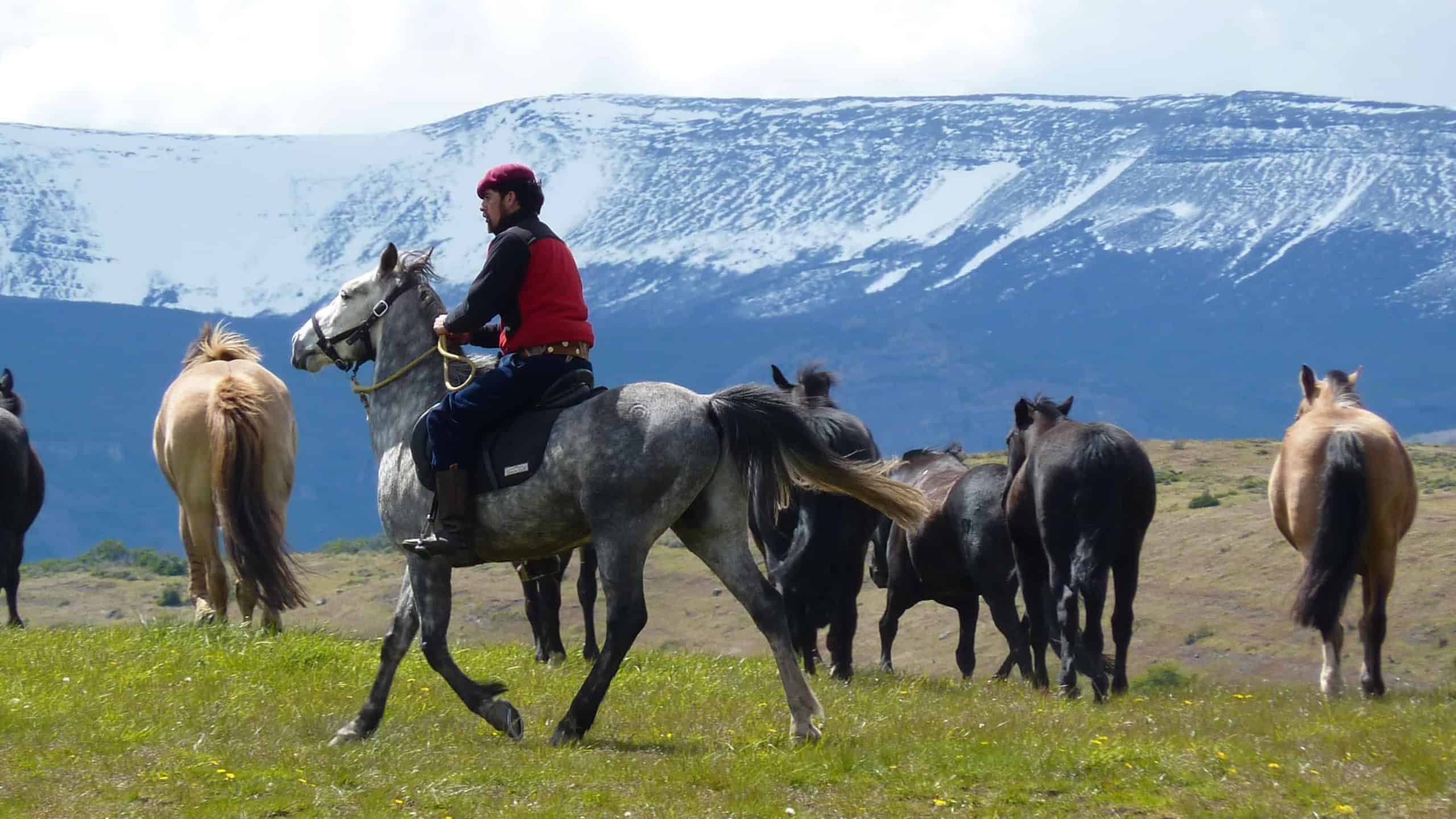 5 Best places to go Horseback Riding in Chile - Chile Off Track